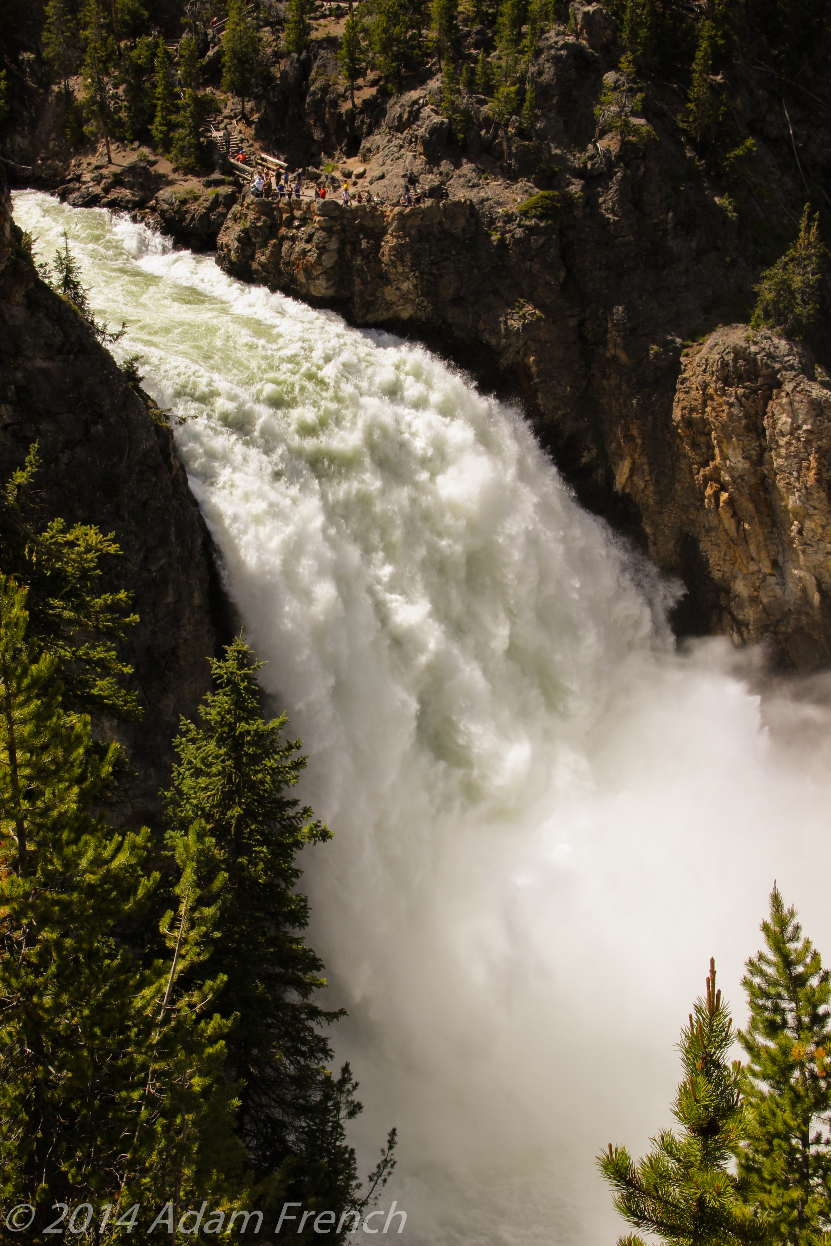 South Rim and Uncle Tom's Trails, Yellowstone National Park : Tranquil ...