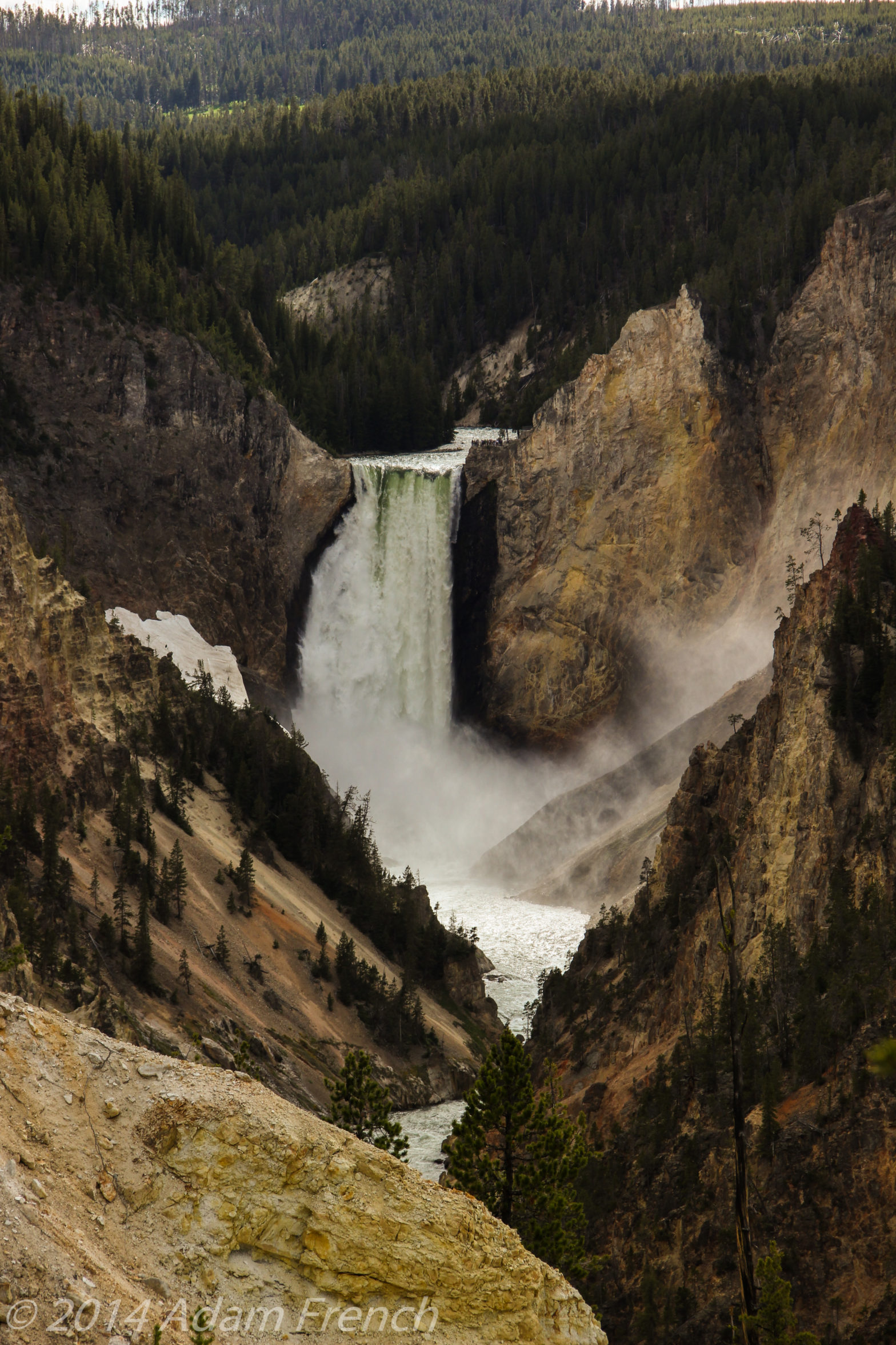 South Rim and Uncle Tom's Trails, Yellowstone National Park : Tranquil ...
