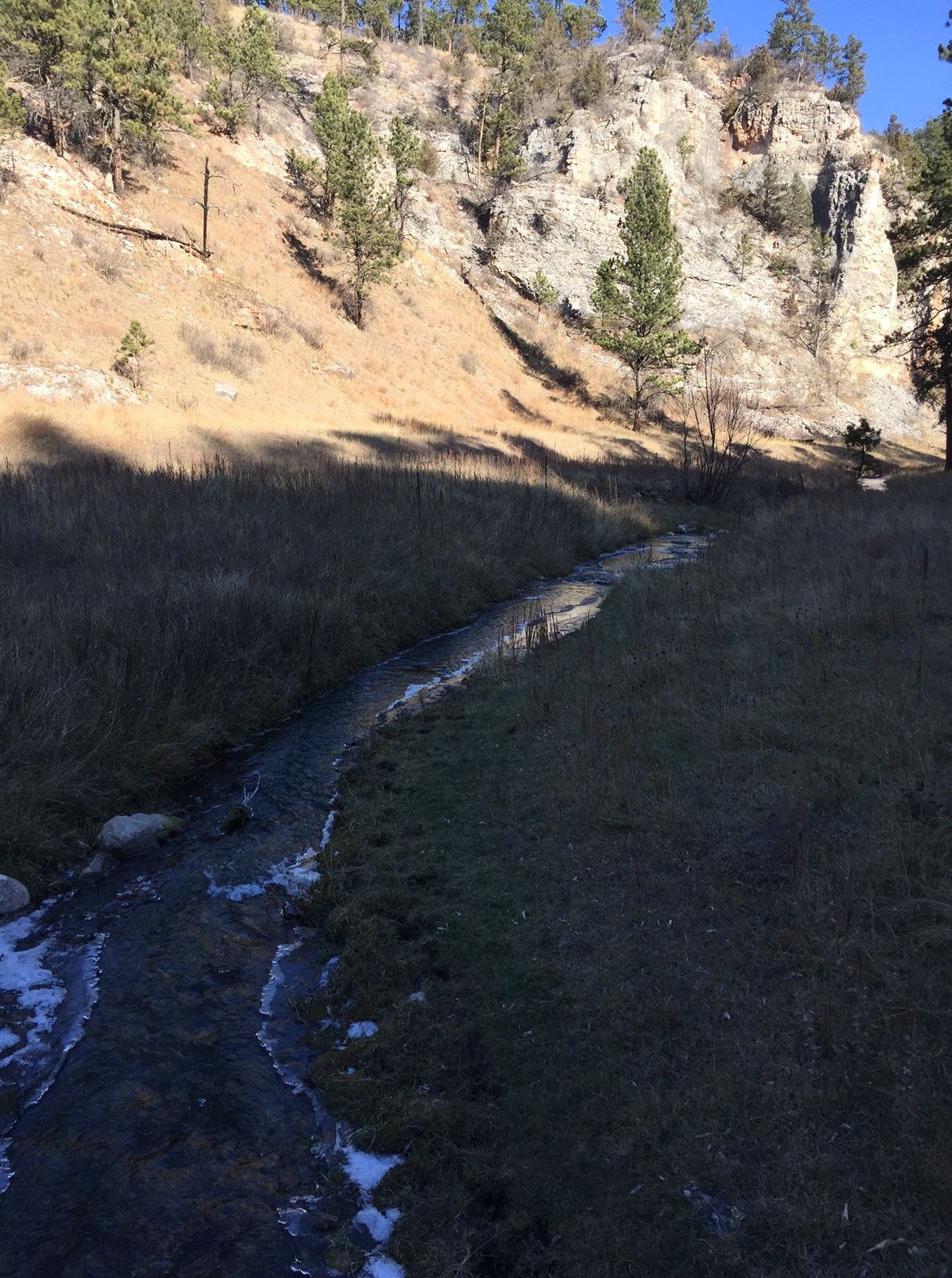 Lookout Point Trail at Wind Cave National Park : Tranquil Trekker
