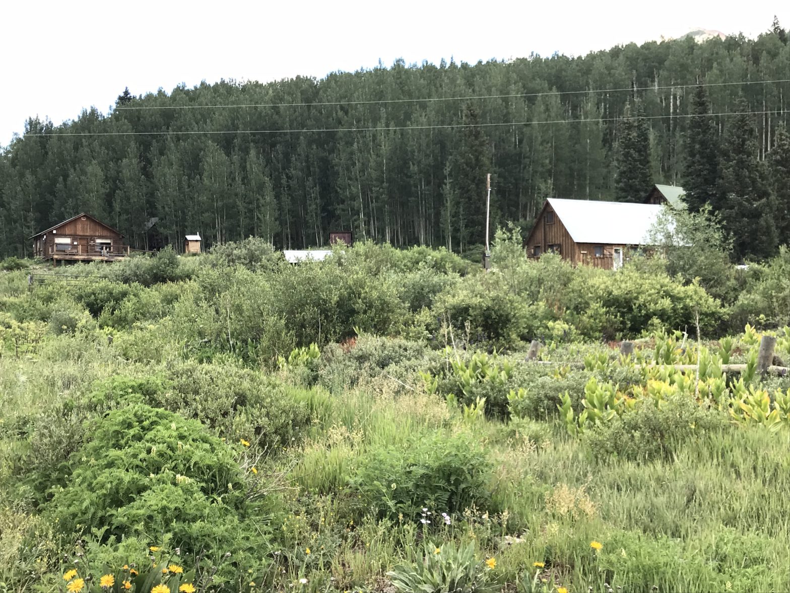 7 "Must-See" Colorado Ghost Towns : Tranquil Trekker