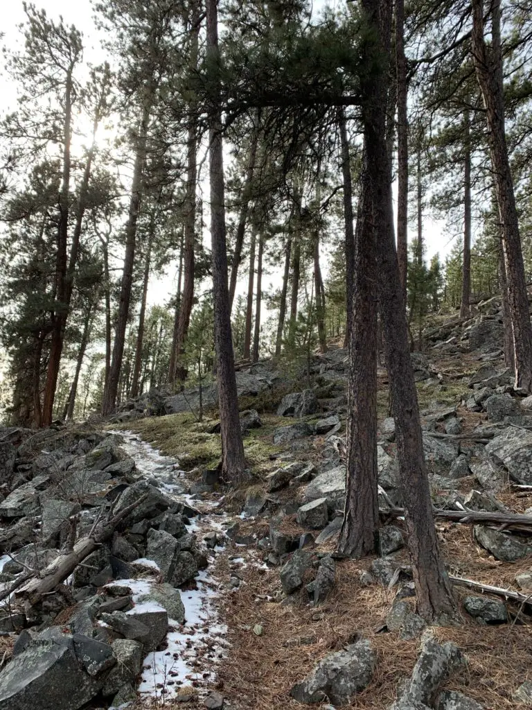 Samelius Trail: North on the Black Hills Centennial Trail : Tranquil ...