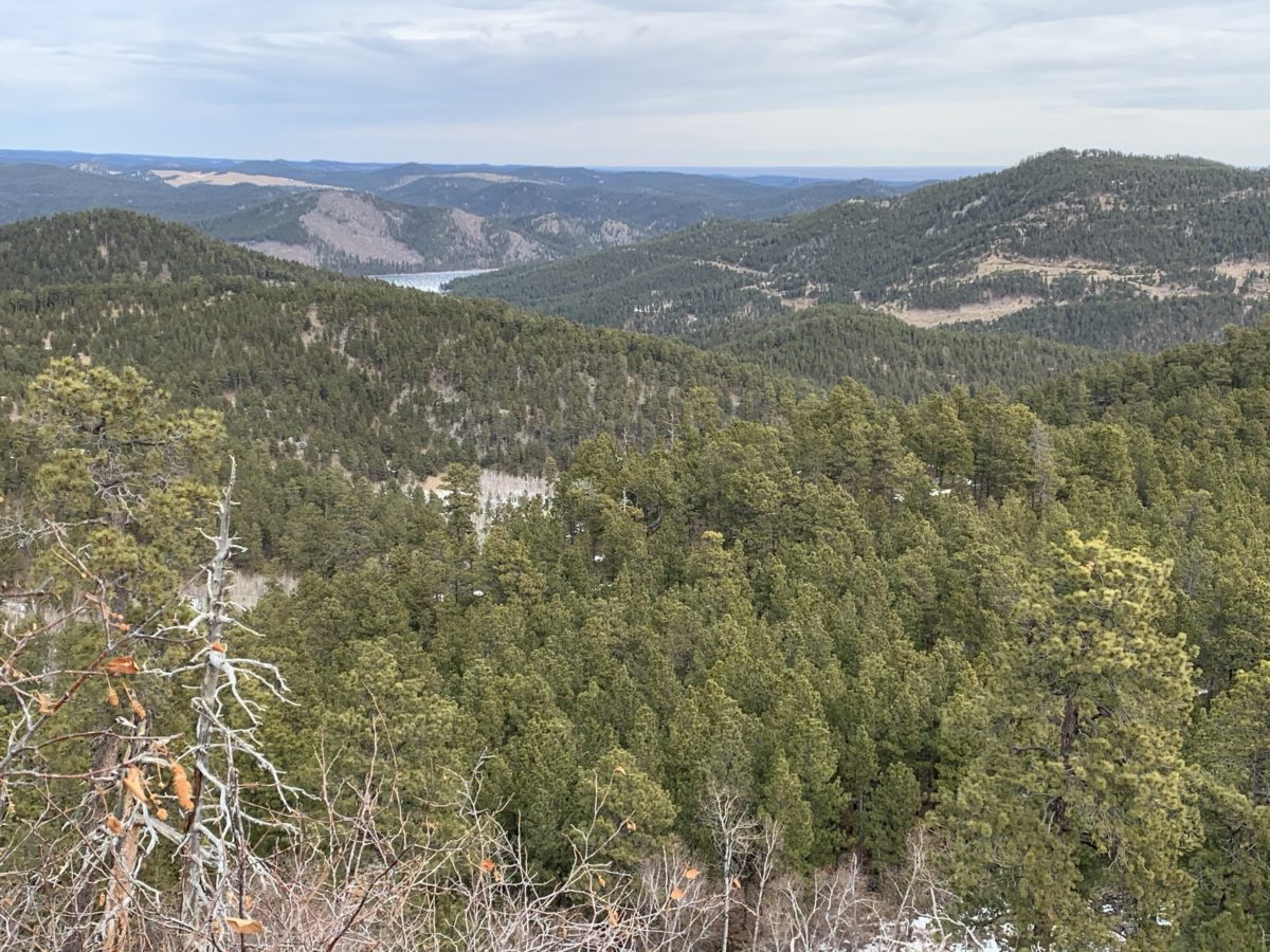 Samelius Trail: North on the Black Hills Centennial Trail : Tranquil ...