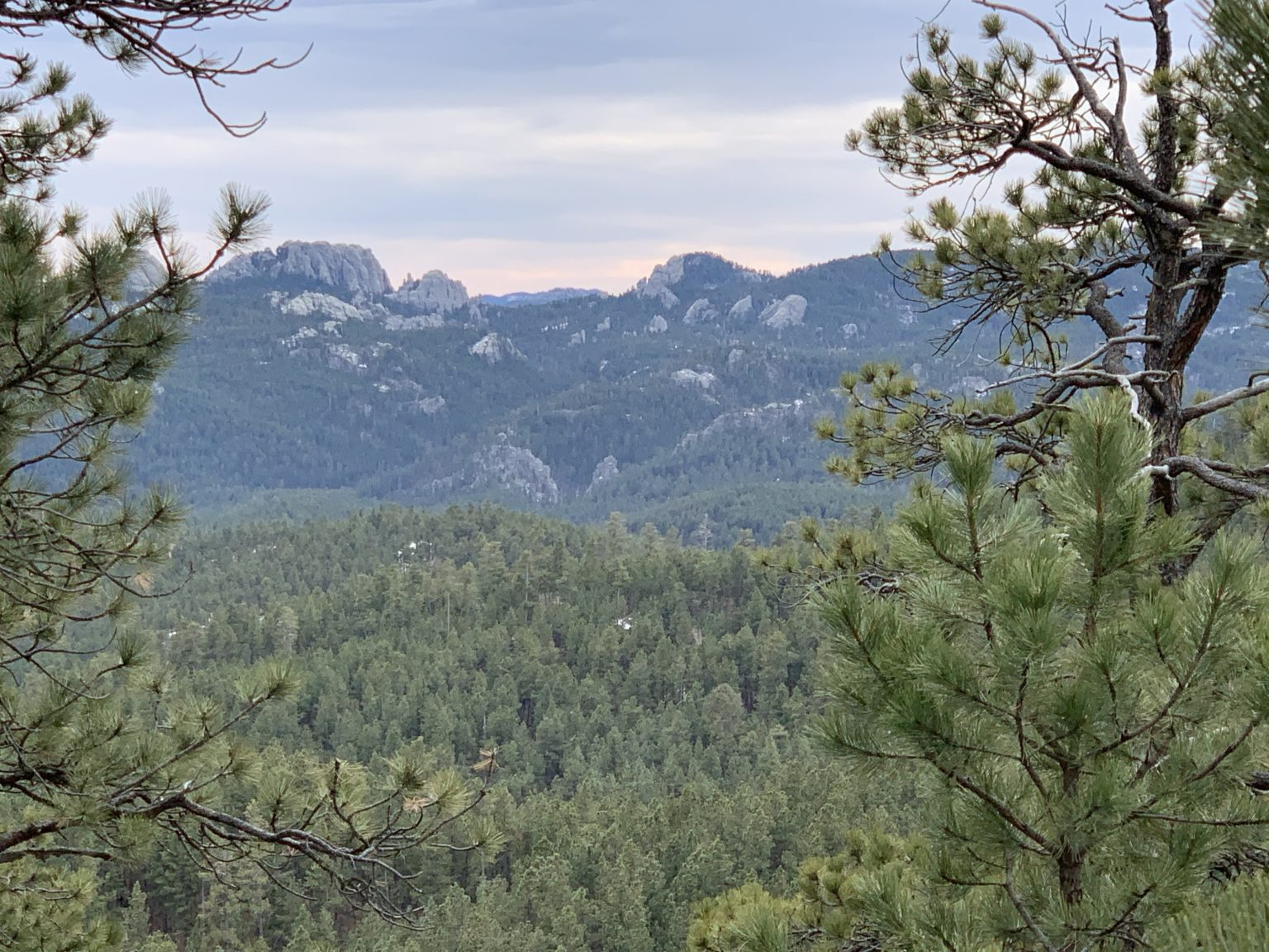 Samelius Trail: North on the Black Hills Centennial Trail : Tranquil ...