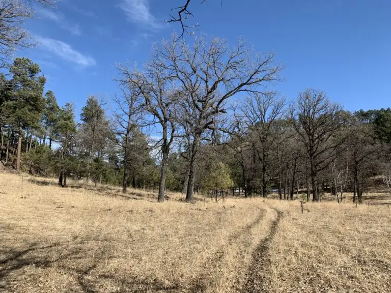 Centennial Trail: Badger Clark Trailhead to French Creek : Tranquil Trekker