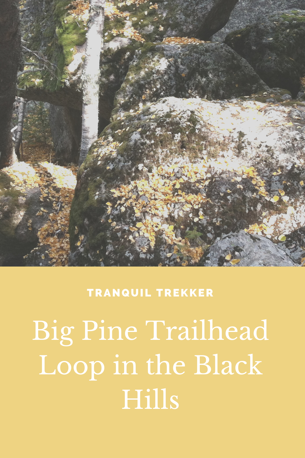 Big Pine Trailhead Loop in the Black Hills : Tranquil Trekker