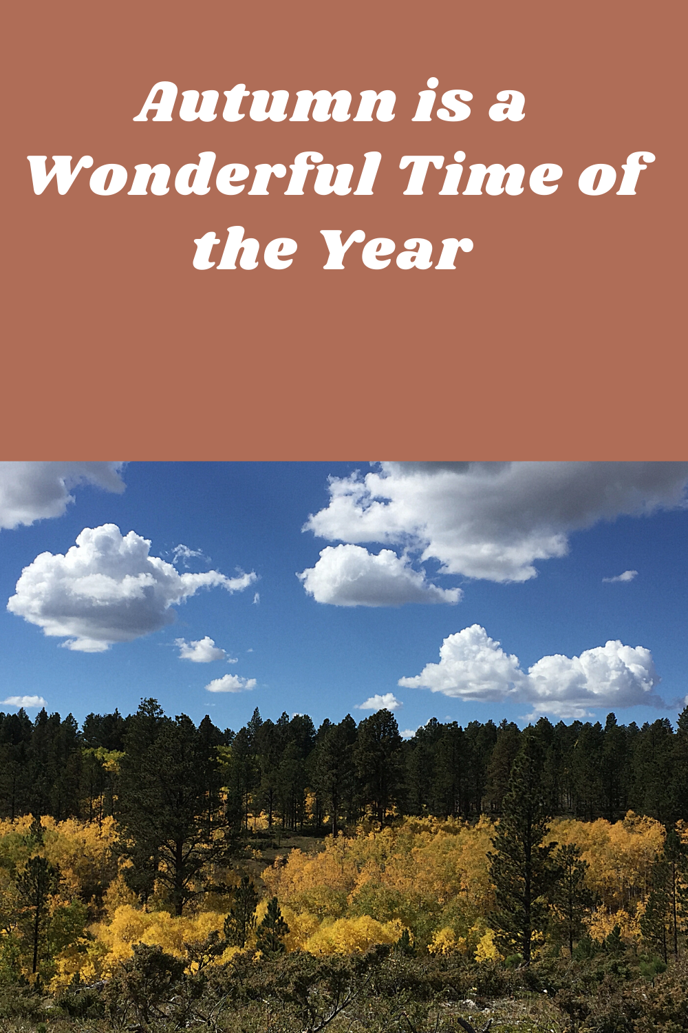 Autumn is a Wonderful Time of the Year : Tranquil Trekker