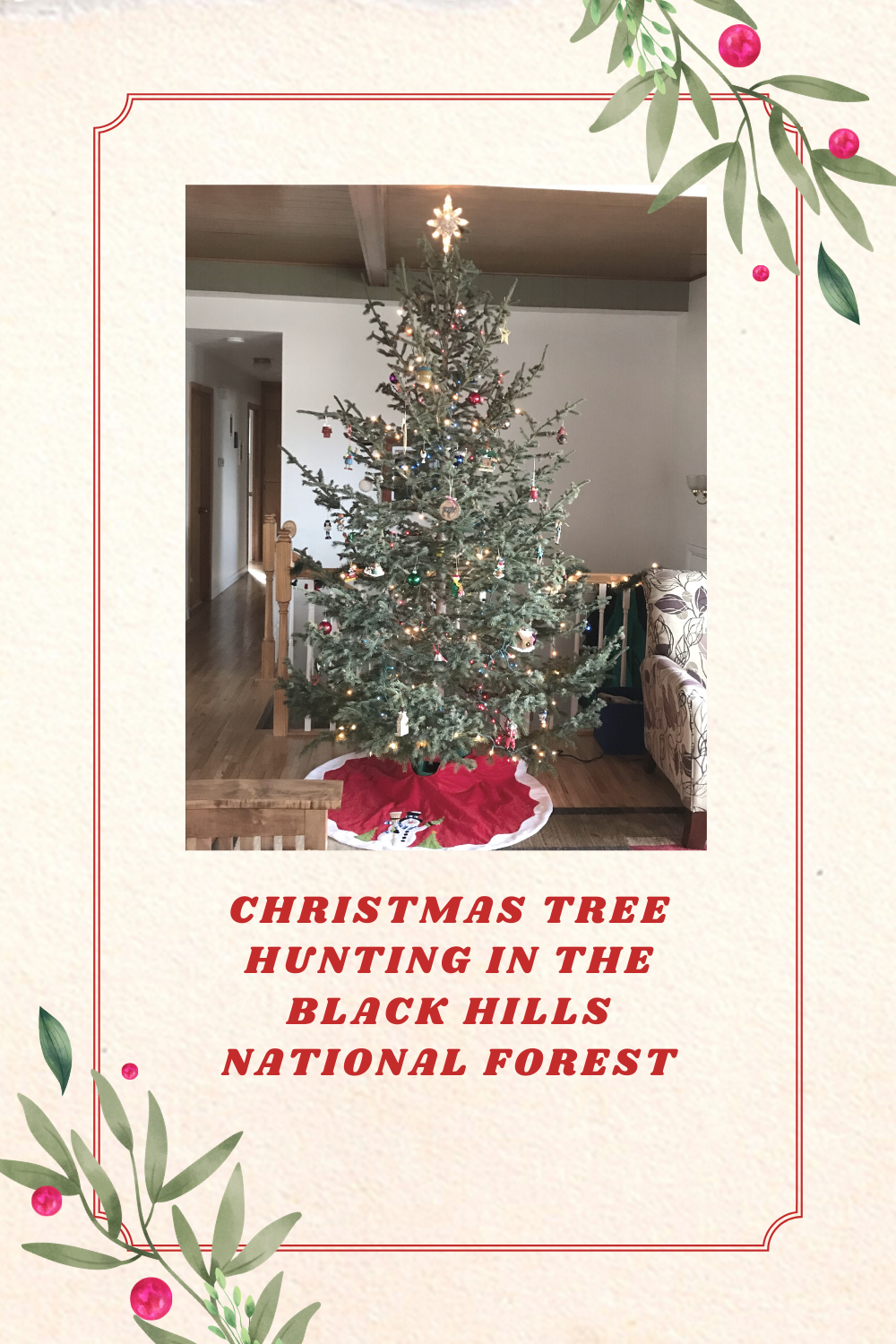 Christmas Tree Hunting in the Black Hills National Forest : Tranquil ...