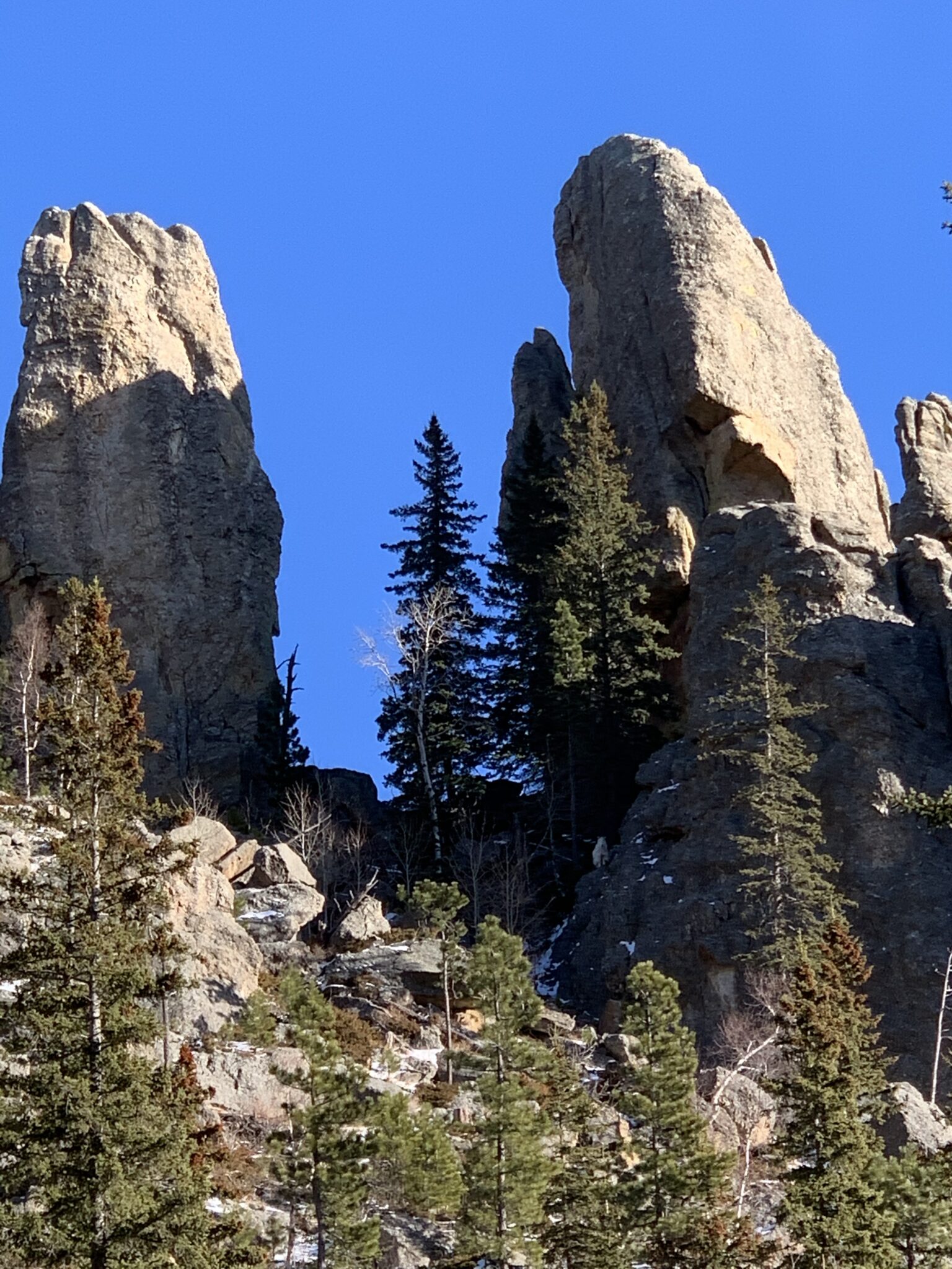 Little Devils Tower, Cathedral Spires and Needles Highway Loop ...