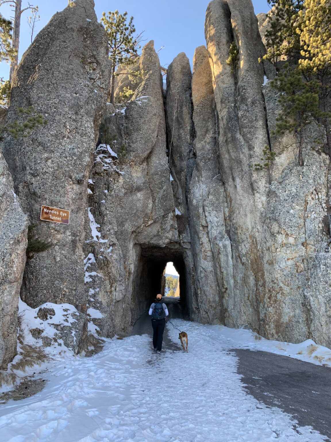 Little Devils Tower, Cathedral Spires and Needles Highway Loop ...