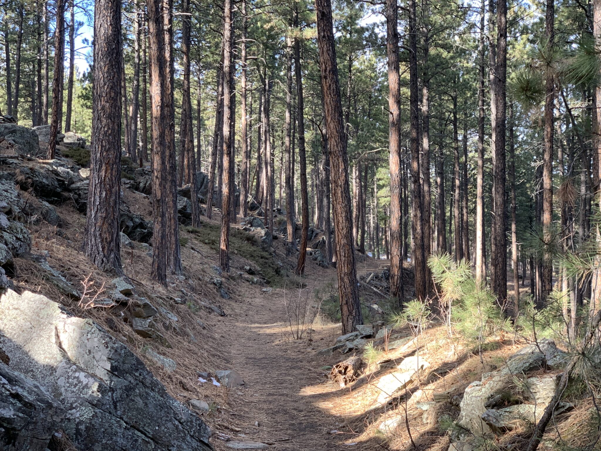 7 Easy Hikes Near Rapid City : Tranquil Trekker