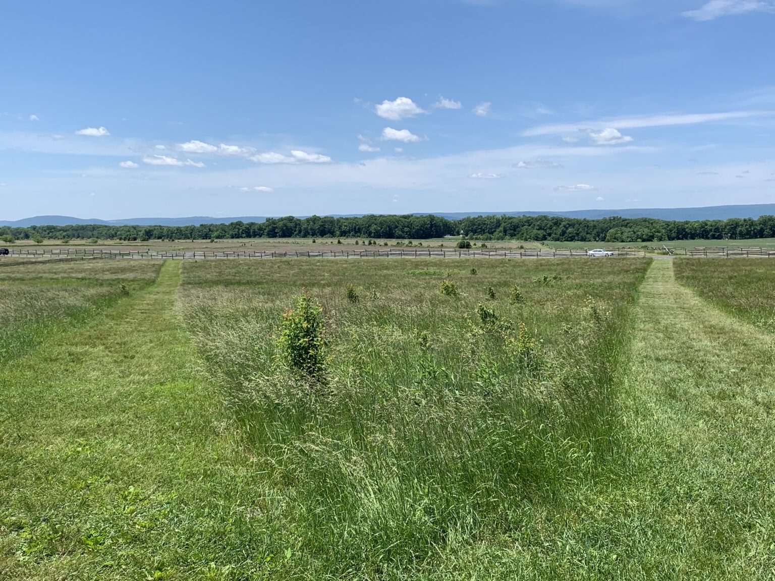 Gettysburg Battlefield : Tranquil Trekker