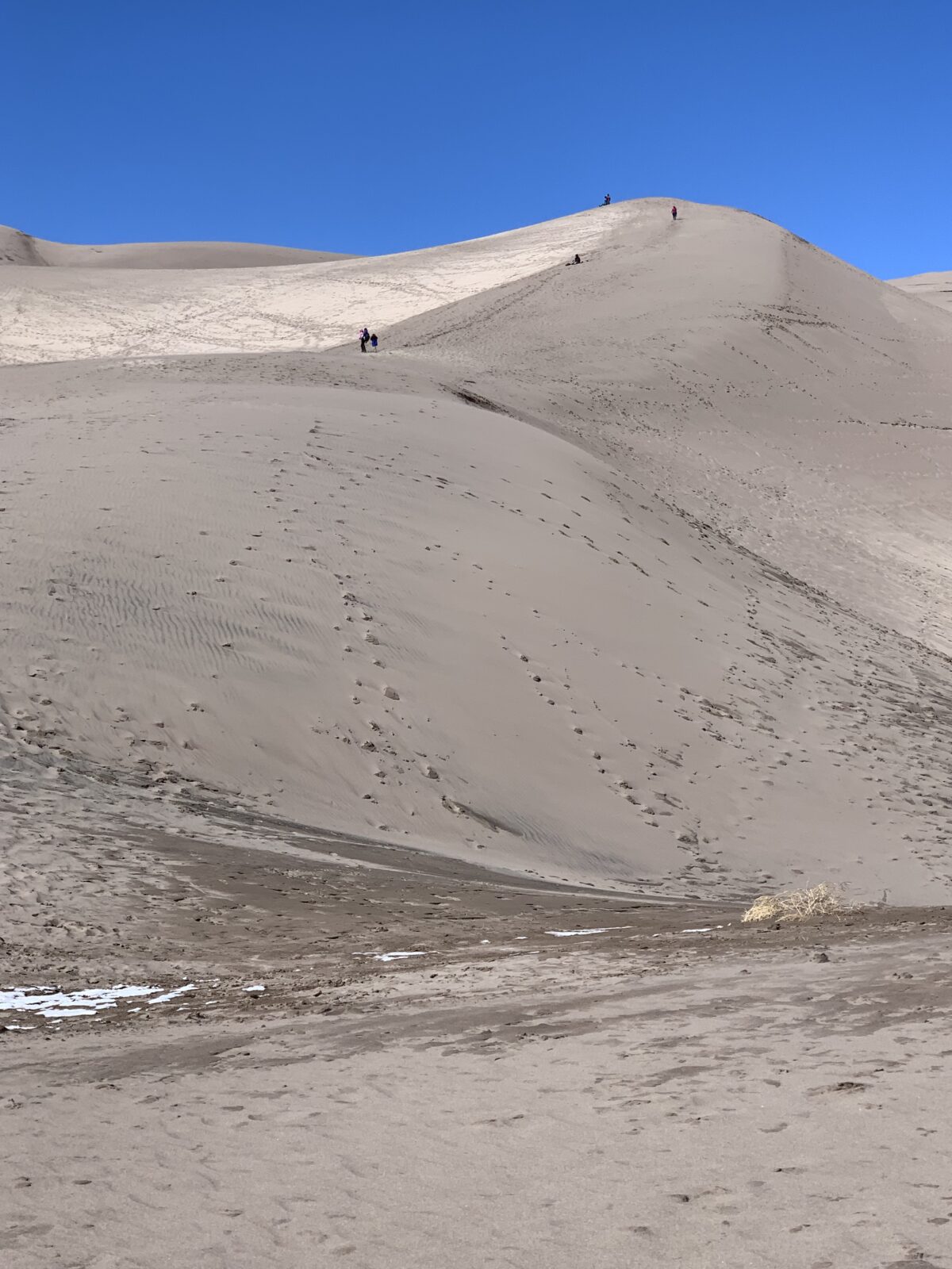San Luis Valley: Aliens, Sand Dunes and Sandhill Cranes! : Tranquil Trekker